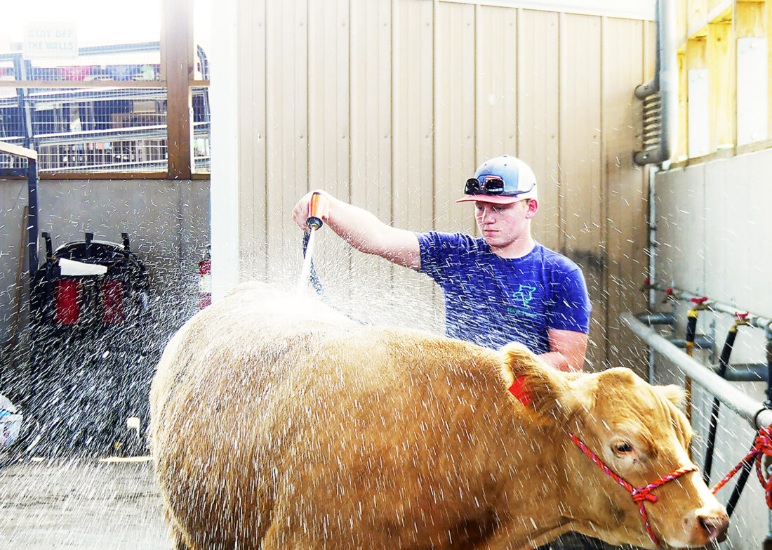 Enduring tradition: Bedford County Fair marks 150th | News, Sports ...
